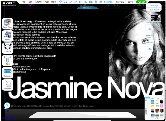 How To Create A Professional-Looking Flash Website For Free