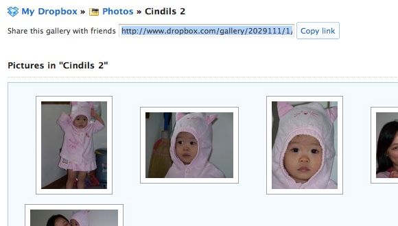 How To QuicklyShare Beautiful Photo Galleries With Dropbox