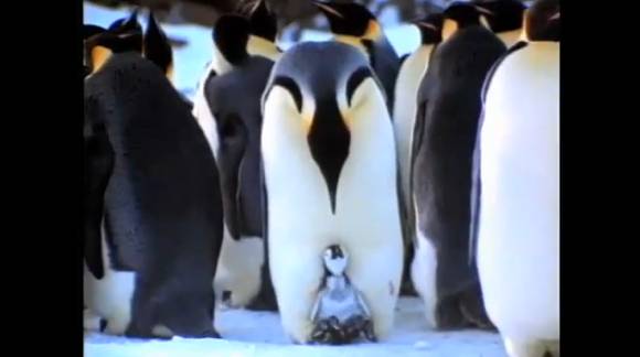 10 Awesome Free Documentaries That You Can Watch Online