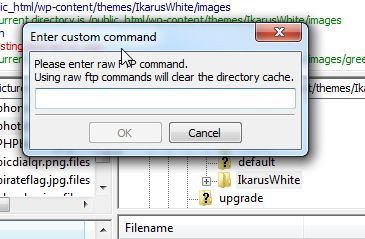 Master FTP File Transfers On All Of Your Sites With FileZilla