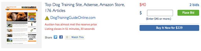 What's the Best Way to Calculate the Value of Your Website?