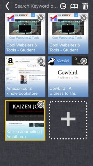 Use Puffin Browser To Play Flash Content On Your iPhone & iPad