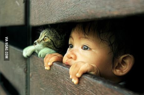 9GAG: Laugh Until You Can't Laugh Anymore