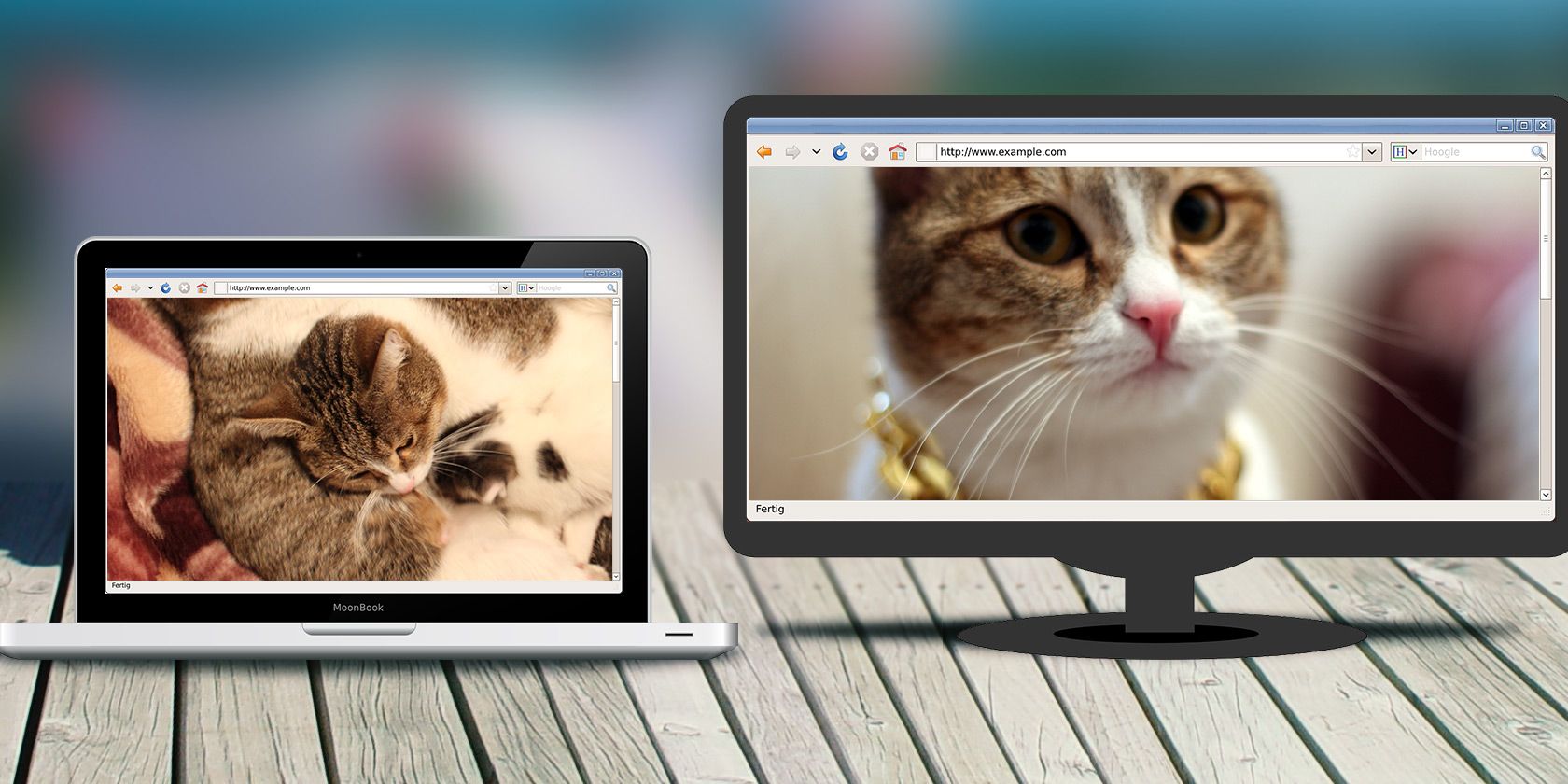 How To Make a WiFi Network That Only Transmits Cat Pictures With A ...