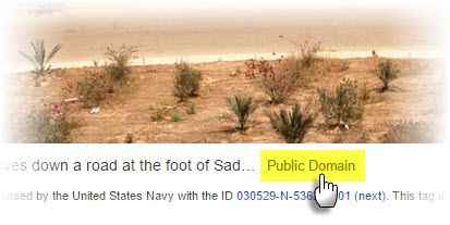 Everything You Need To Know About Wikipedia And More