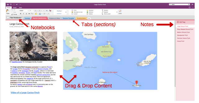 How to Use OneNote Like a World Famous Scientist