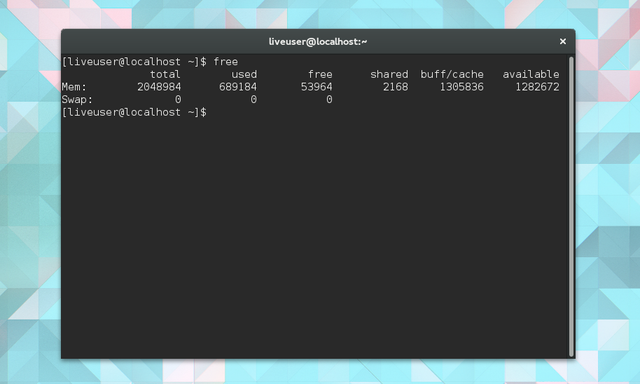 How to Kill Programs and Check System Information in Linux