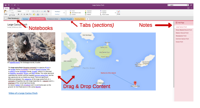 The Best Evernote Alternative Is OneNote and It's Free