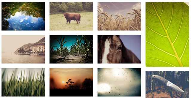 The 15 Best Sites for Free High-Resolution Stock Images