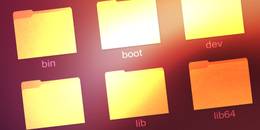 What Are Those Folders In Your Linux Root Directory 