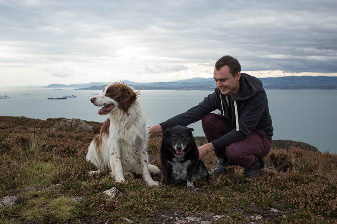 How to Take an Awesome Photo of Your Dogs