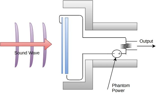 15 Terms You Need to Know When Buying a Microphone