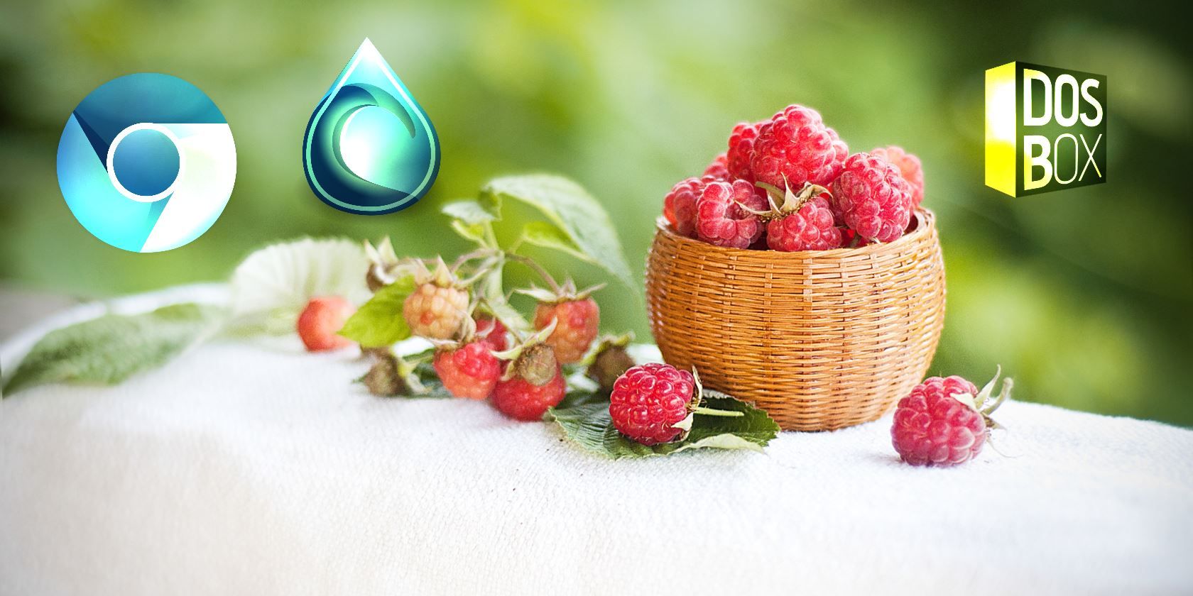 The 10 Best Apps to Install on Your Raspberry Pi