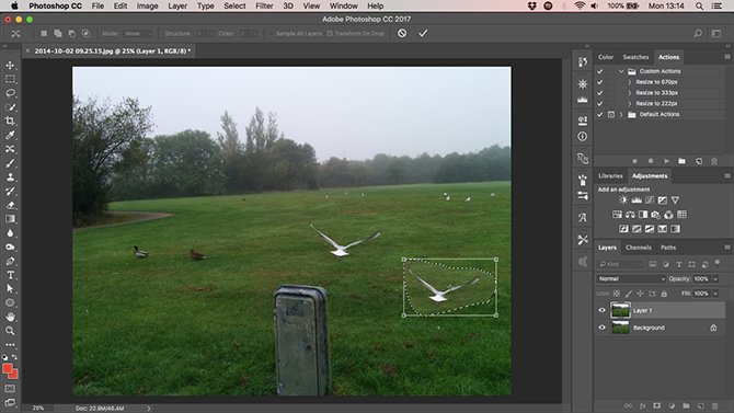 Learn Photo Editing in Photoshop: Get the Basics Down in 1 Hour