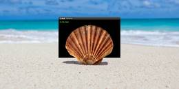 What Is Shell Scripting And Why You Should Use It