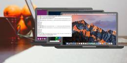 How to Save Command Line Output to File on Windows, Mac, and Linux
