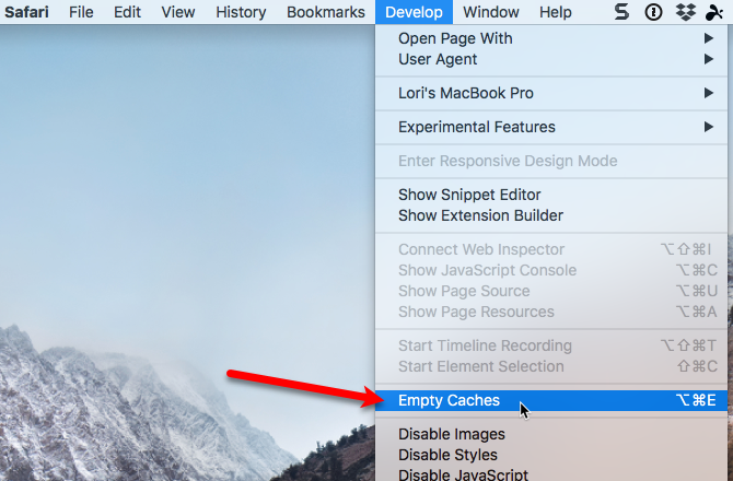 How to Clear Your Safari Browsing History and Data