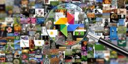 How To Find A Photo In Google Photos And Organize Images