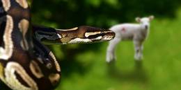 A Beginner s Guide To Understanding Python Lambda Functions