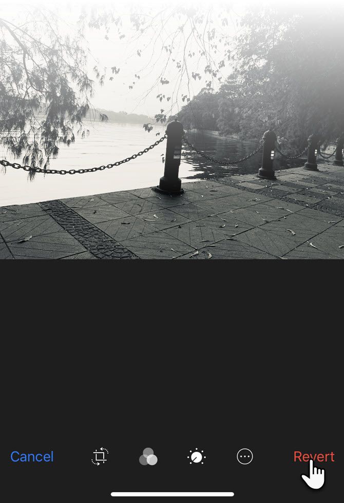 How to Add Filters to iPhone Pictures the Easy Way