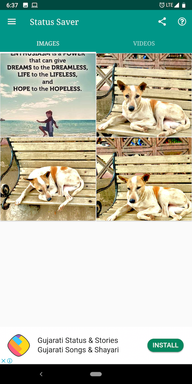 How to Download a WhatsApp Status Photo or Video