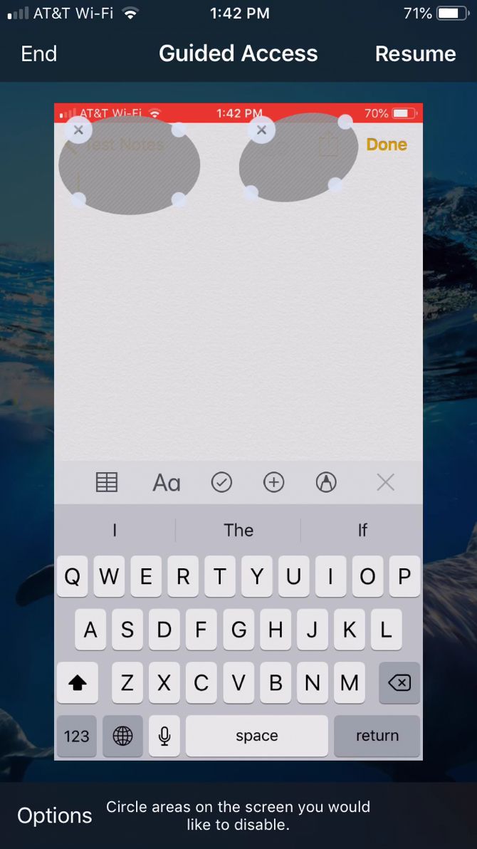 What Is Guided Access on iPhone and How Do You Use It?