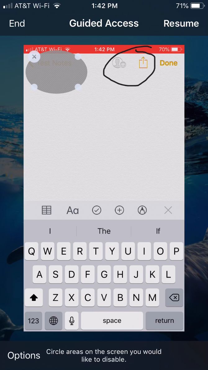 What Is Guided Access on iPhone and How Do You Use It?