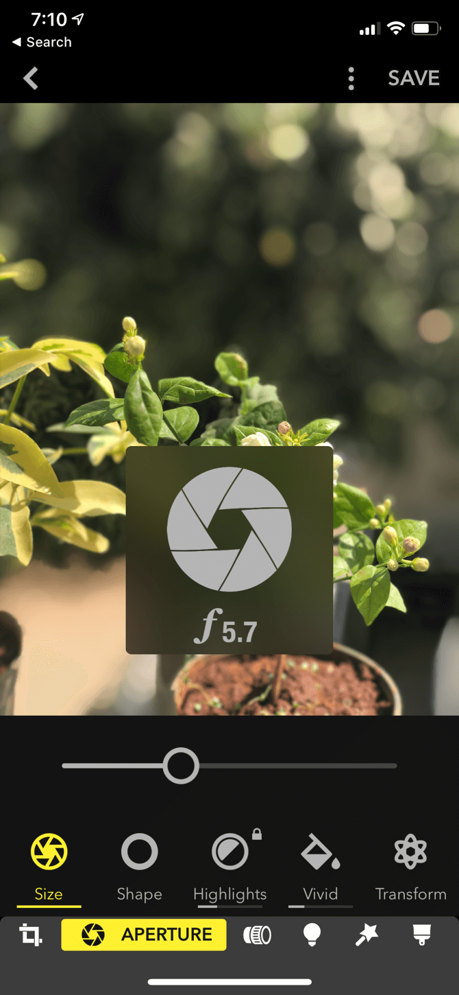 How to Use Portrait Mode on iPhone: 7 Essential Tips and Apps