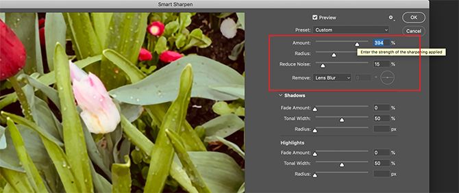How to Make Your Photos Sharper Using Adobe Photoshop