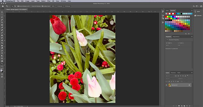 How to Make Your Photos Sharper Using Adobe Photoshop