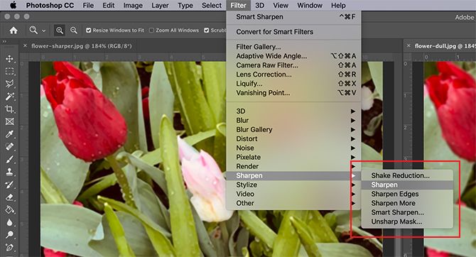 How to Make Your Photos Sharper Using Adobe Photoshop