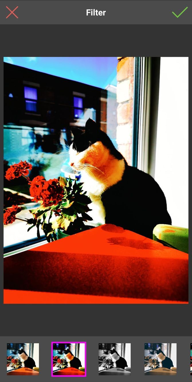 The 5 Best Android Apps to Reduce Image Size