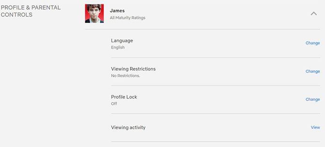 How to See and Download Your Netflix Viewing History