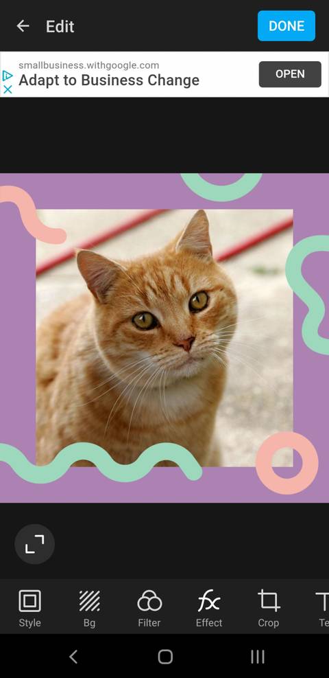 How to Add Borders to Photos: 11 Easy Methods