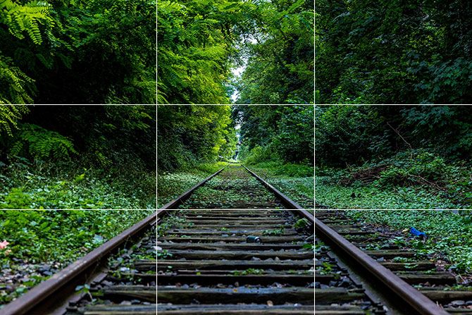 How to Use the Rule of Thirds in Photography