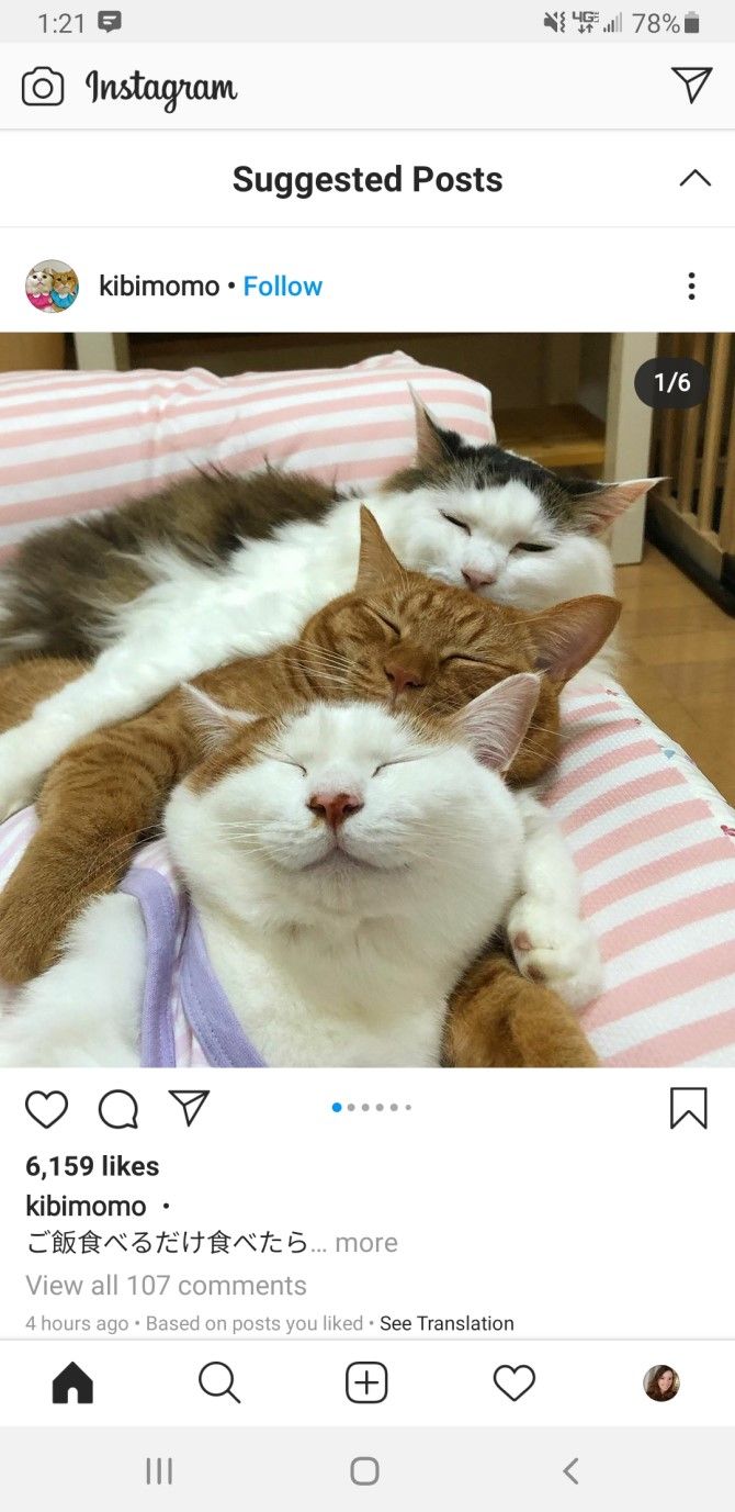 Instagram Now Suggests Posts to Keep You Scrolling Forever