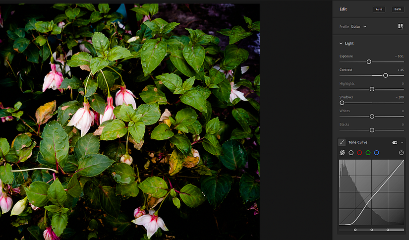 What Is Adobe Lightroom and What Is It Used For?