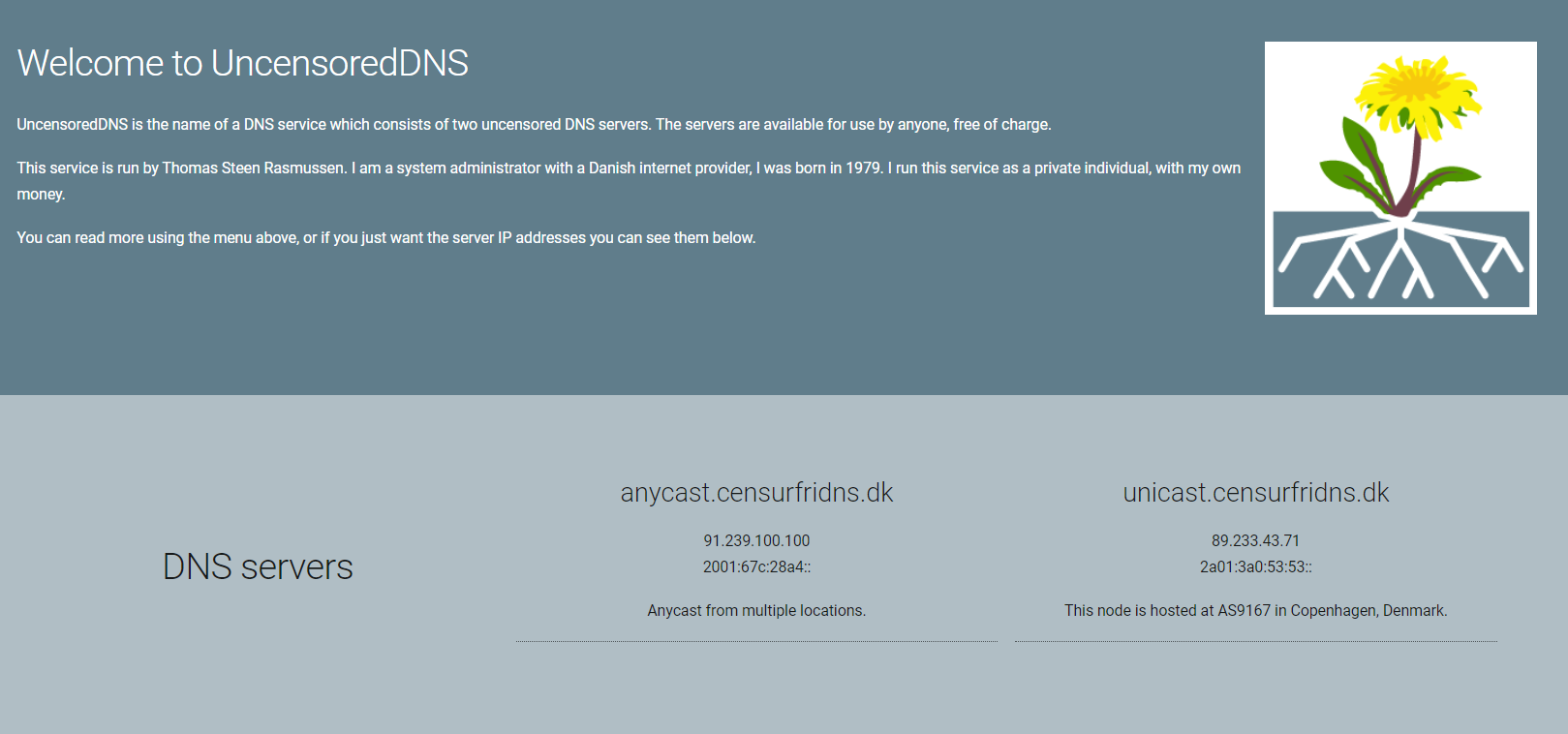The 5 Best DNS Servers for Improved Online Safety