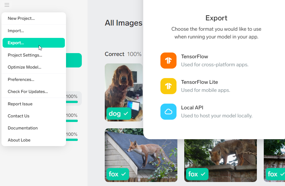 How to Create a Machine Learning Model With Microsoft Lobe