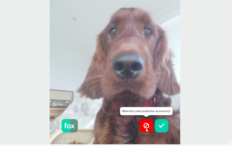How to Create a Machine Learning Model With Microsoft Lobe