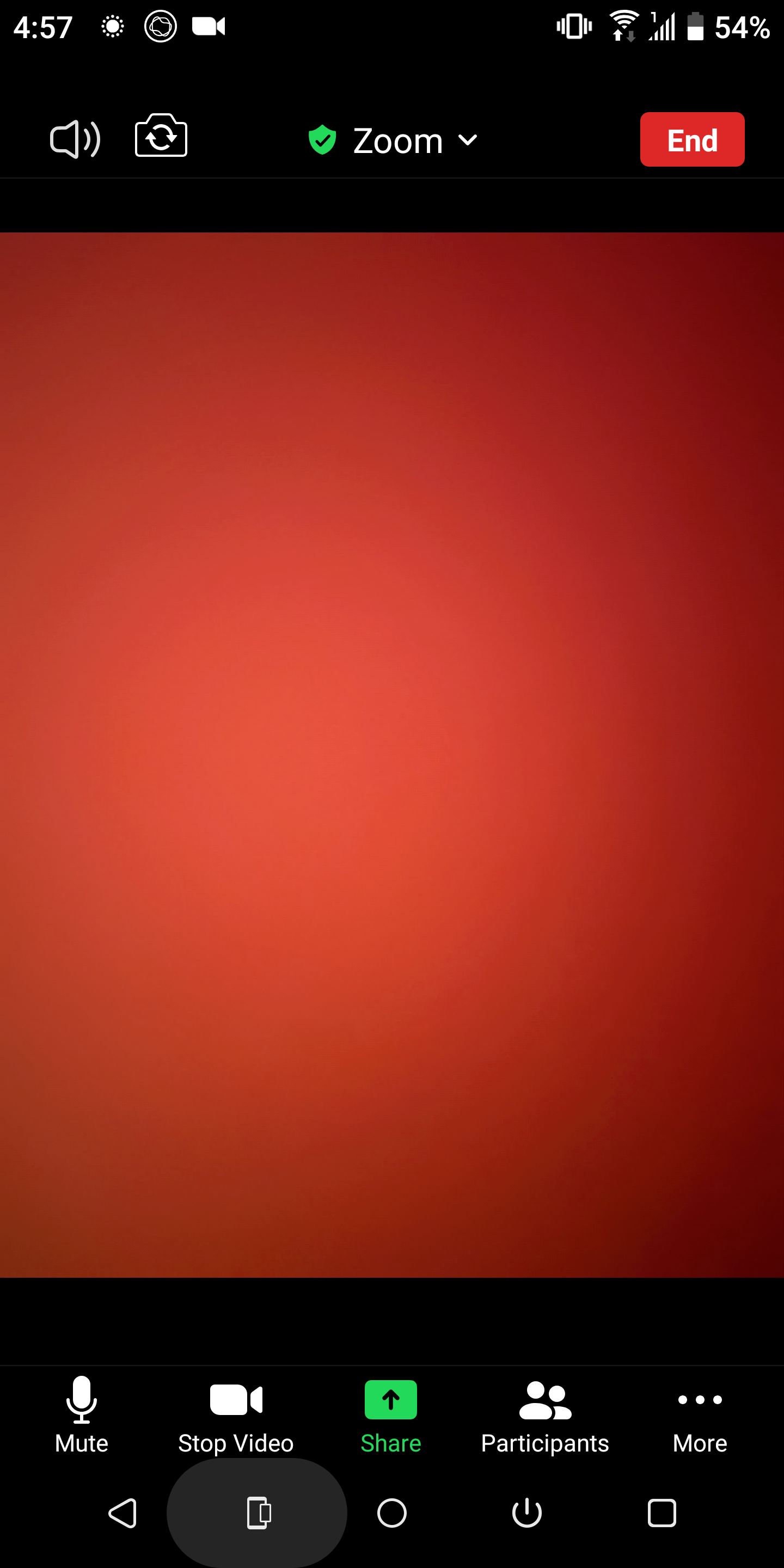 How to Use Zoom Like an Expert