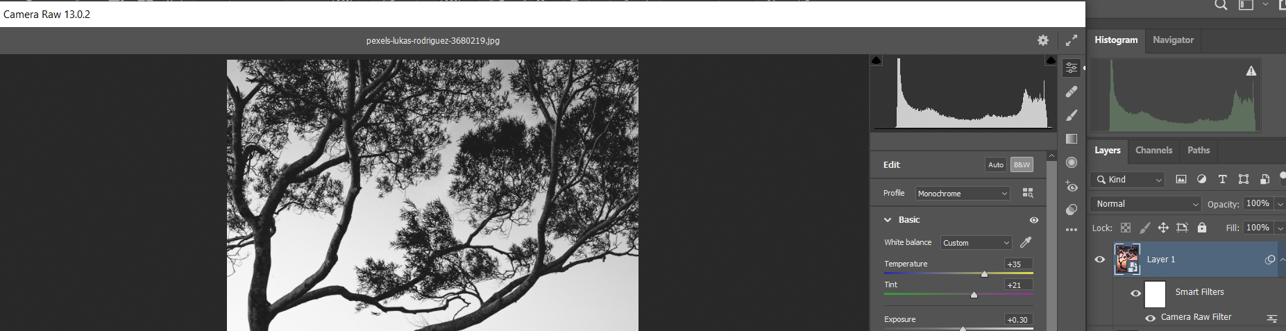 How to Use Adobe Camera Raw as a Smart Object in Photoshop