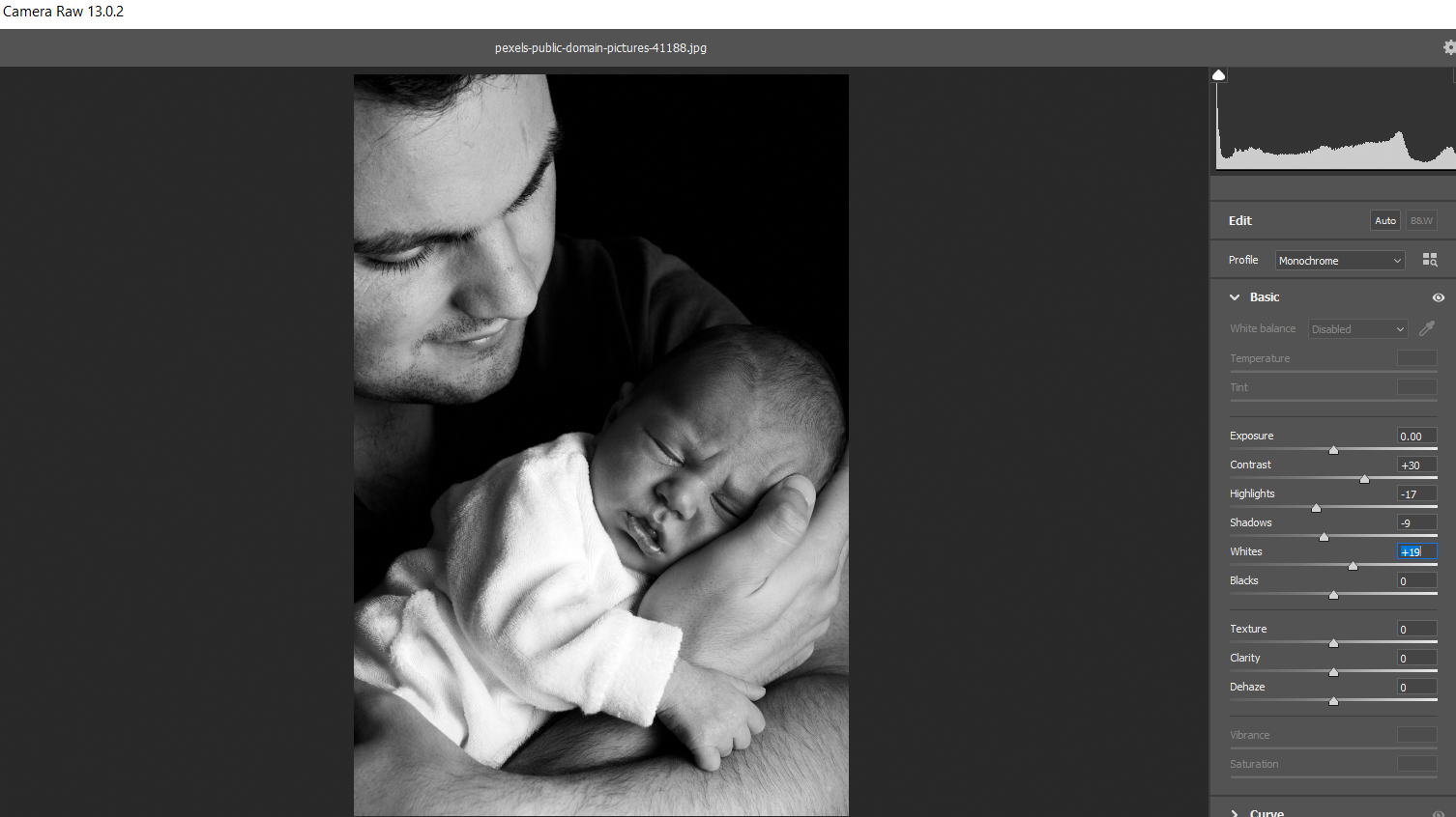 How to Use Adobe Camera Raw as a Smart Object in Photoshop