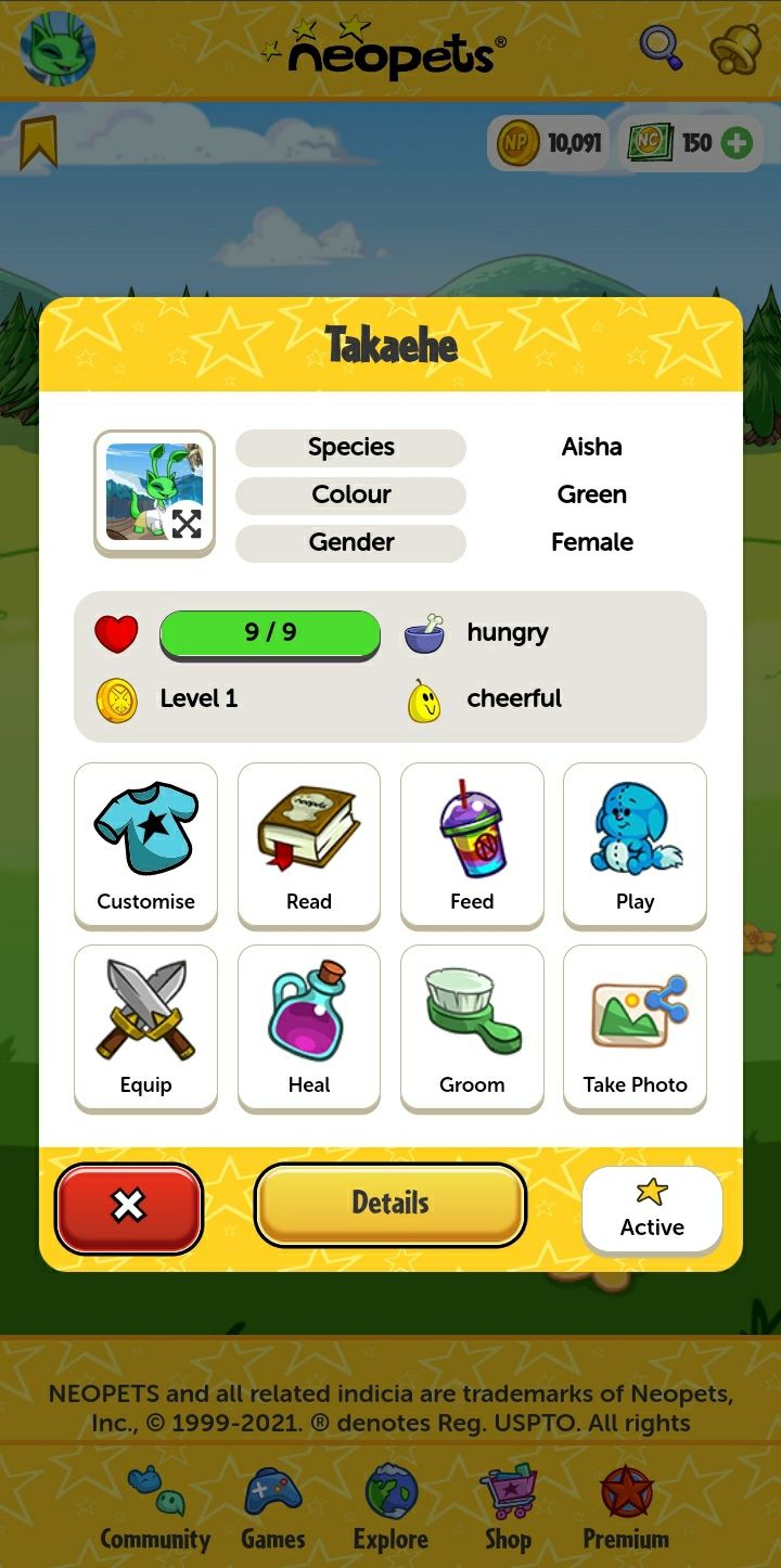 What's the Best Way to Play Neopets in 2021?