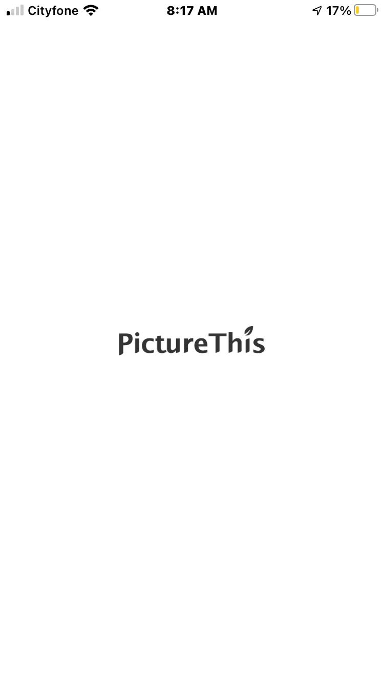 10 iPhone Apps for the Perfect Camping Getaway