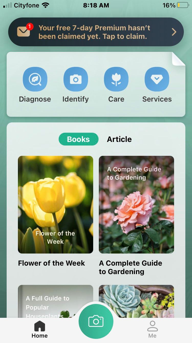 10 iPhone Apps for the Perfect Camping Getaway