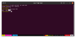 How To Add A User To The Sudoers List In Linux