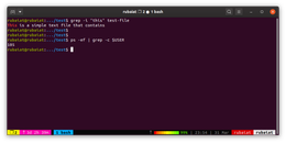 10 Practical Examples Of The Linux Grep Command LaptrinhX News