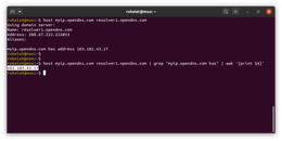 How To Find The Public IP Address On A Linux System
