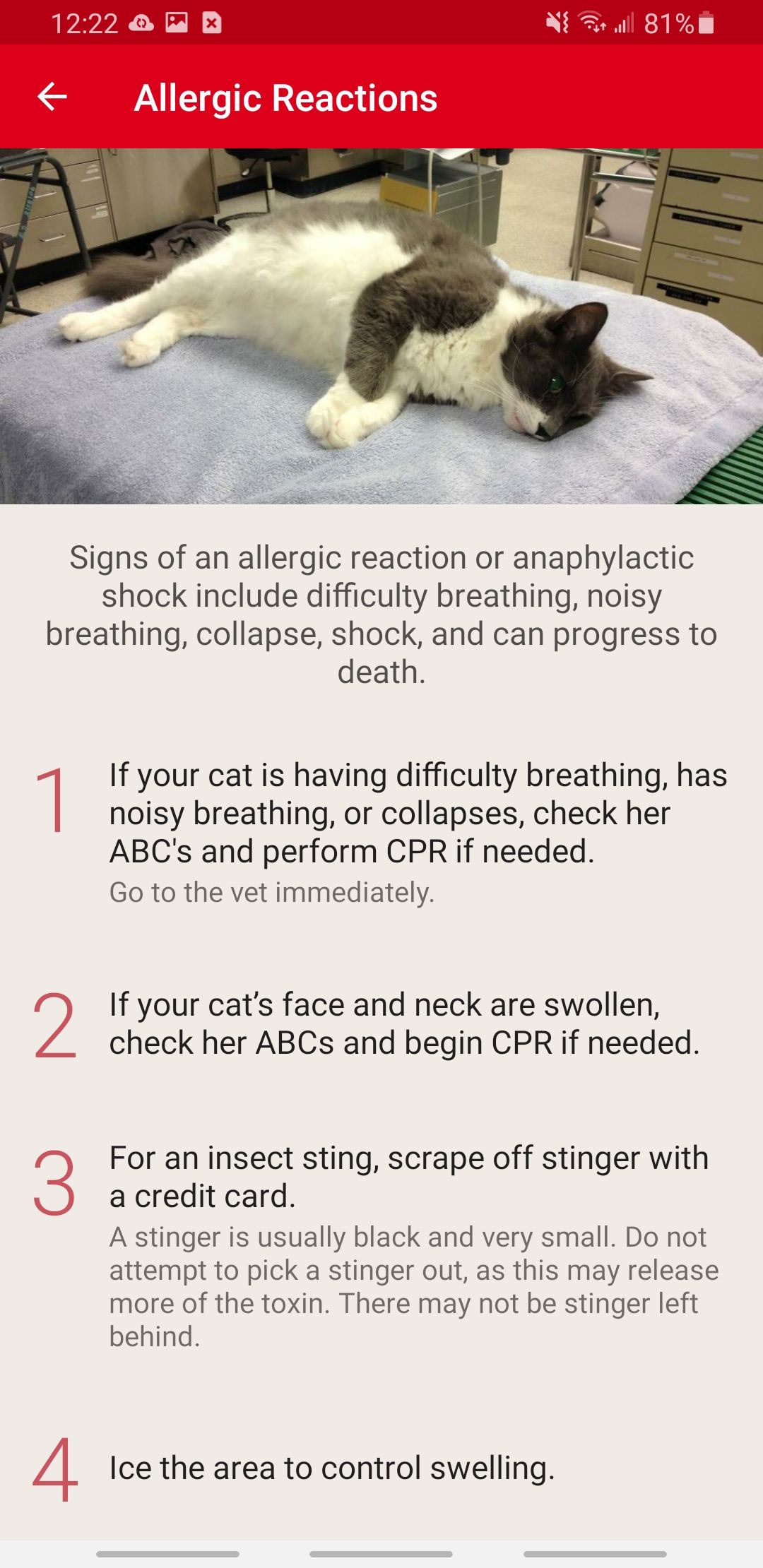 8 Useful Mobile Apps for Cat Owners and Cat Lovers